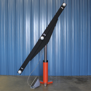 Condor Scale Bar • ScanningSpheres